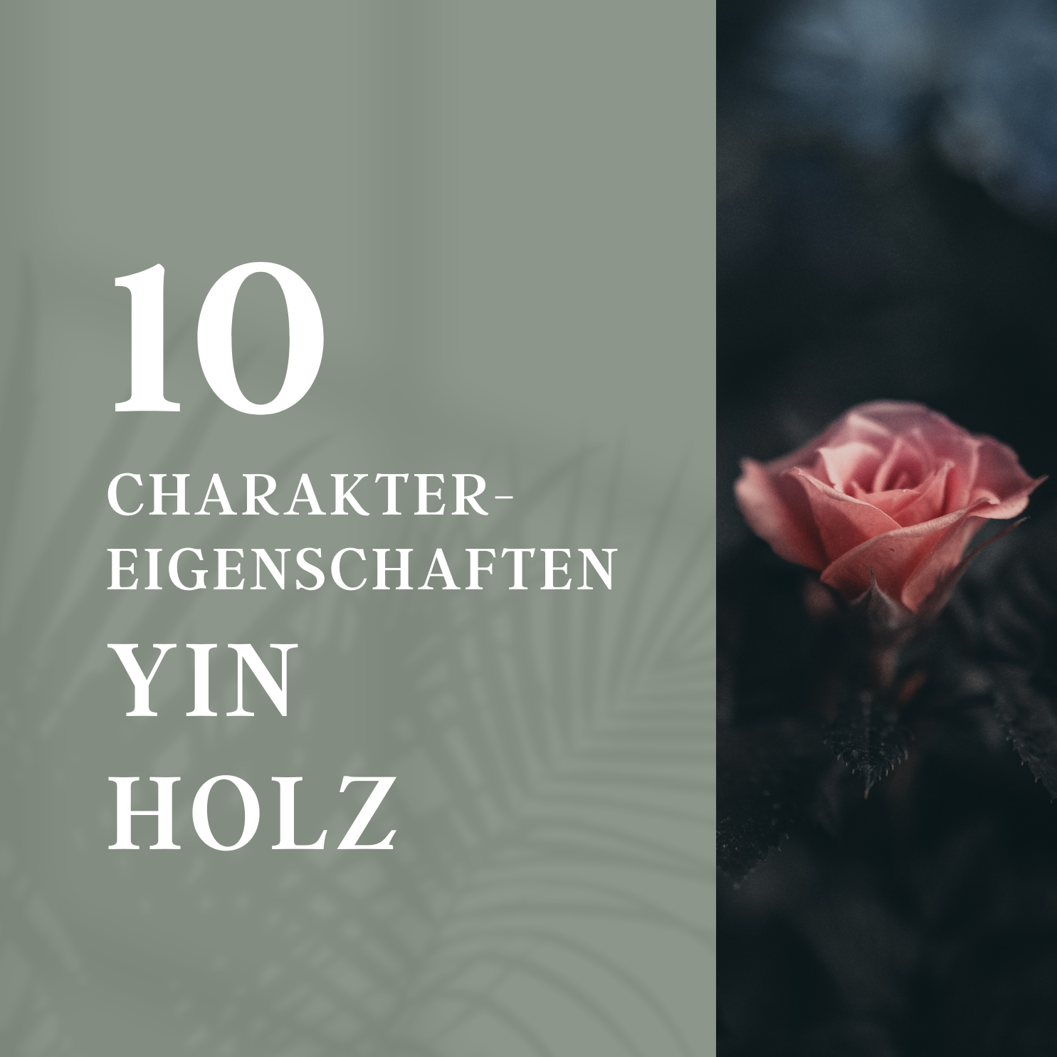 BaZi Blog — BaZi by Aleah