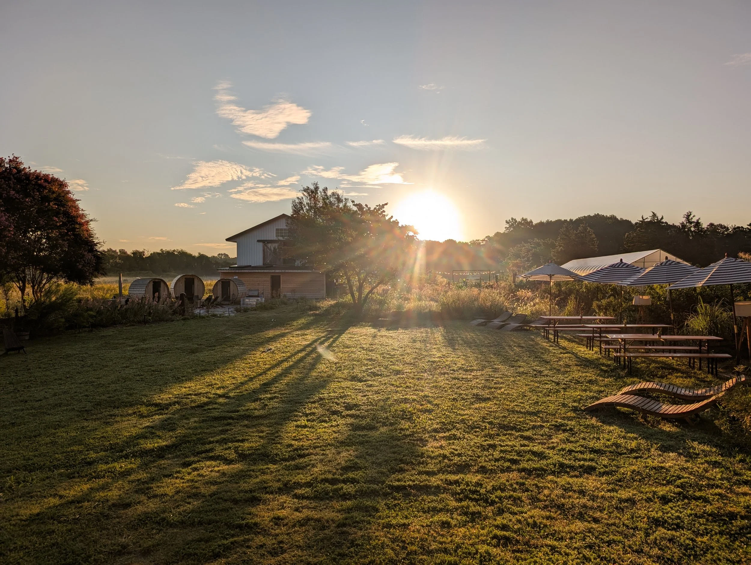 Events — Celeste Farms