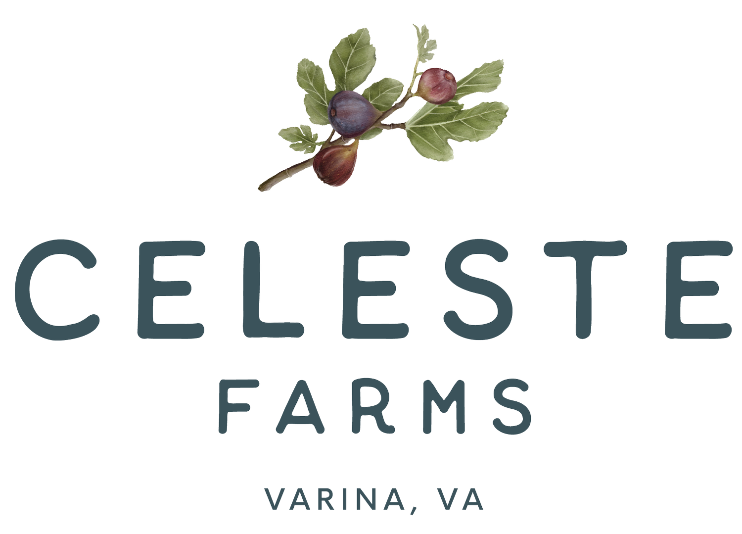 Events — Celeste Farms