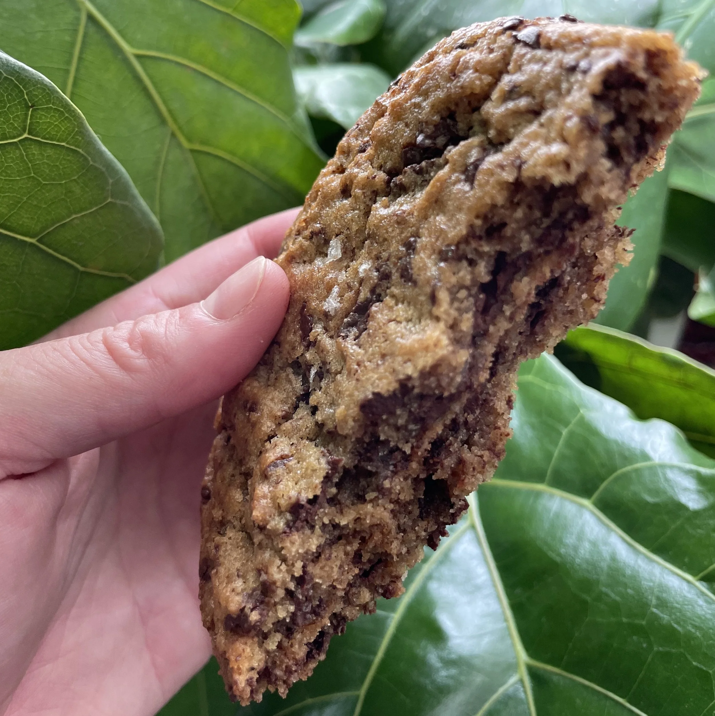 Here’s Where to Find the Best Chocolate Chip Cookies in Indianapolis ...