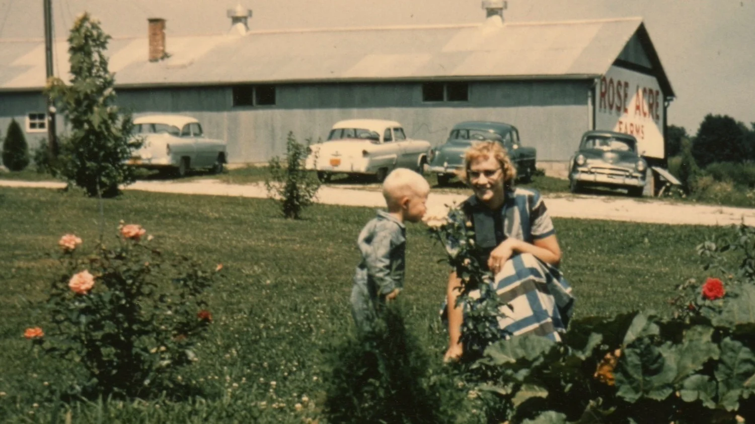 Company History — Rose Acre Farms - The Good Egg People