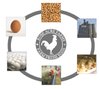 Company History — Rose Acre Farms - The Good Egg People