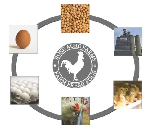 Company History — Rose Acre Farms - The Good Egg People