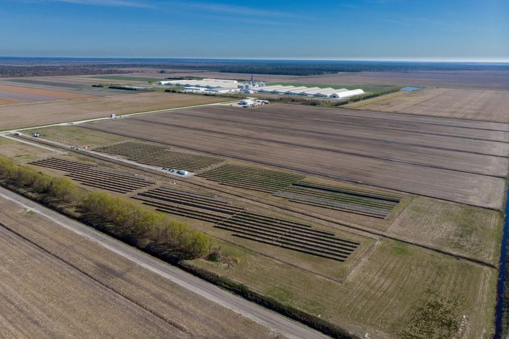 Sustainability — Rose Acre Farms - The Good Egg People