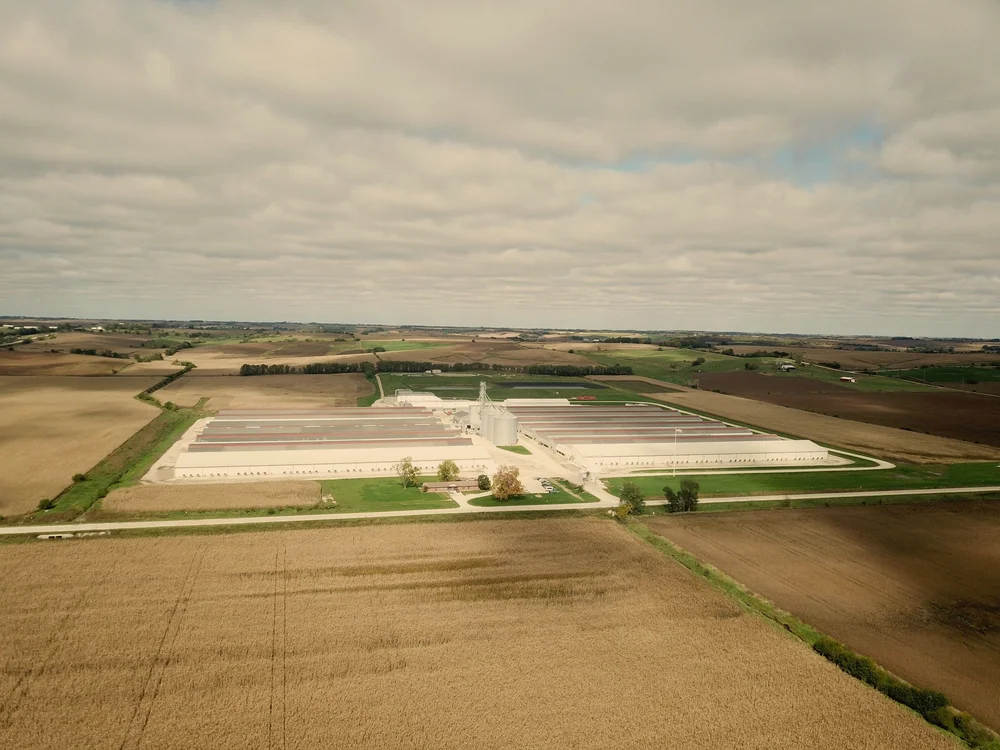 Company History — Rose Acre Farms - The Good Egg People