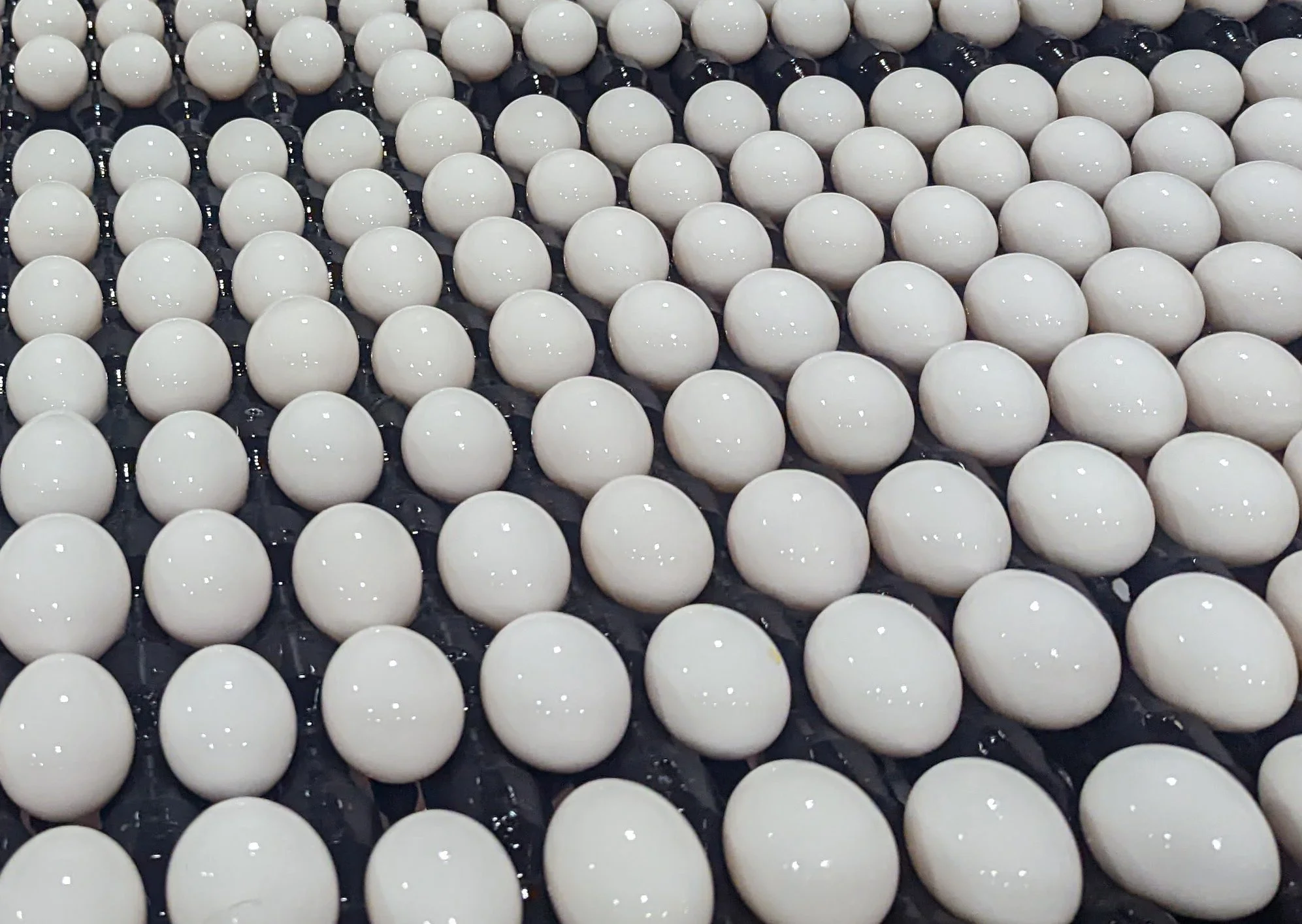 Rose Acre Farms - The Good Egg People