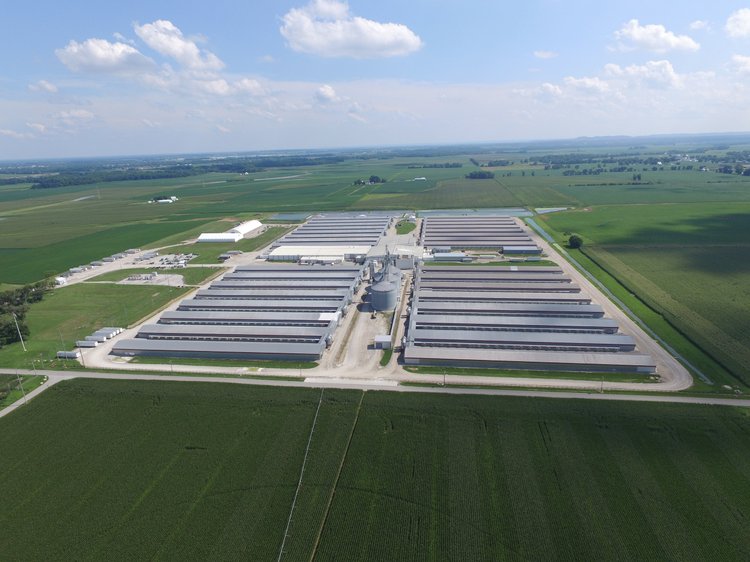 Company History — Rose Acre Farms - The Good Egg People