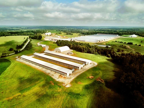 Company History — Rose Acre Farms - The Good Egg People