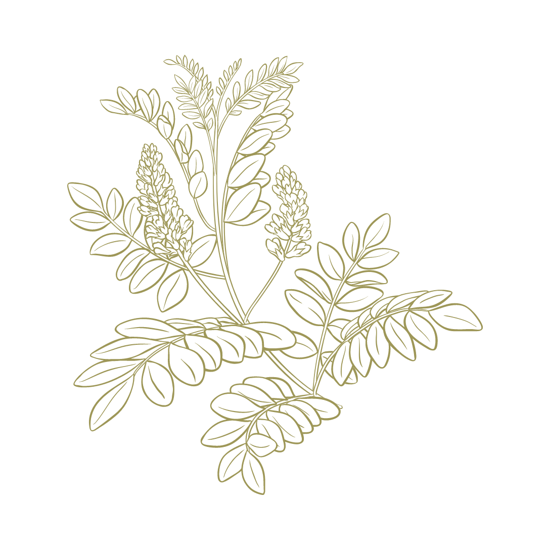 Swedana Steam Therapy in San Ramon, CA — Minute Wonder Ayurveda