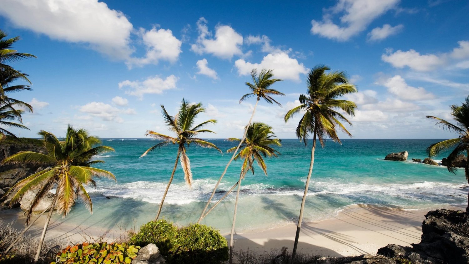 The Future of Working Remotely in the Caribbean: Airbnb Hotels and ...