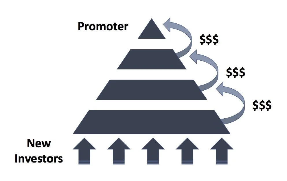 The Biggest Ponzi Schemes in the Caribbean — DAN MERRIAM