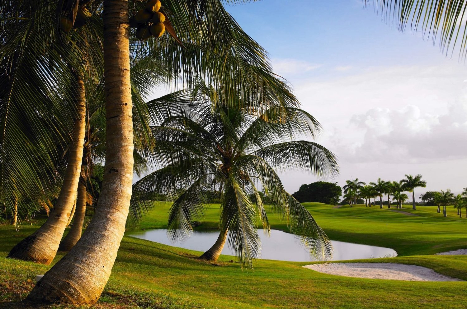 Top Barbados Golf Courses: Comprehensive Guide — DAN MERRIAM