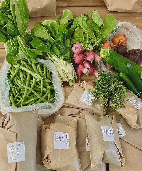 Bright Food Co-op | Shop Fresh Today - Join Us