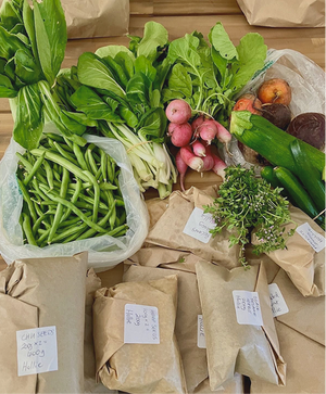 Bright Food Co-op | Shop Fresh Today - Join Us