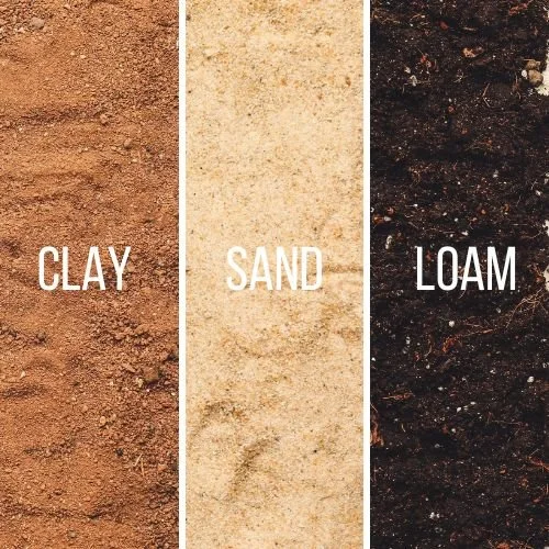 Choosing the Right Turf Underlay — The Turf Shed