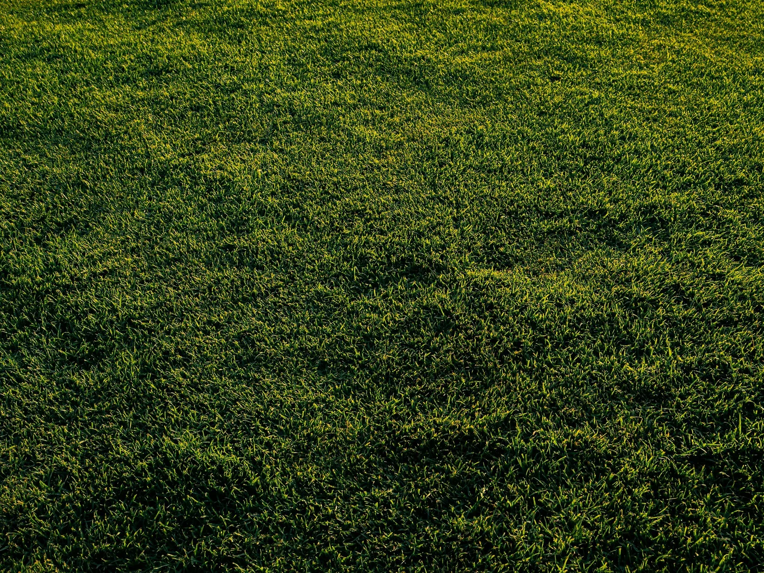 Quality Turf Delivered to Jimboomba — The Turf Shed