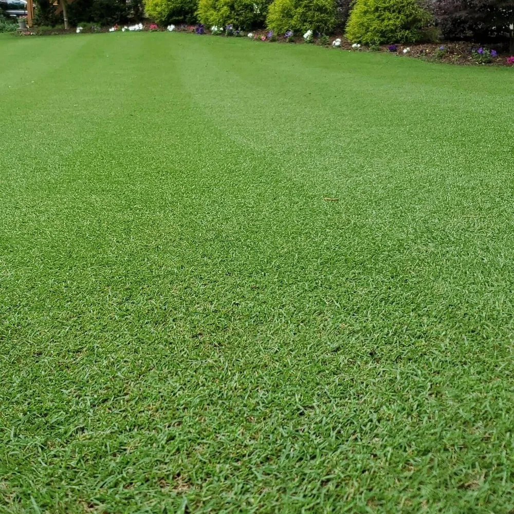 Farm Fresh Turf Delivered To Brisbane, Ipswich & The Gold Coast