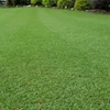 Farm Fresh Turf Delivered To Brisbane, Ipswich & The Gold Coast