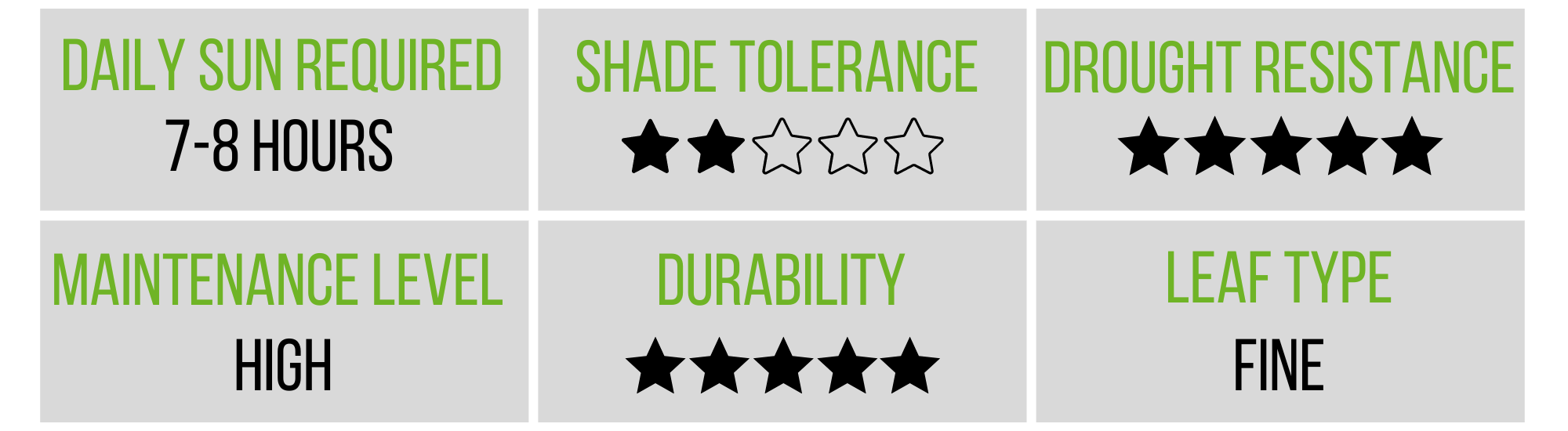 QLD Green Couch grass: delivered to Brisbane, Ipswich and the Gold ...