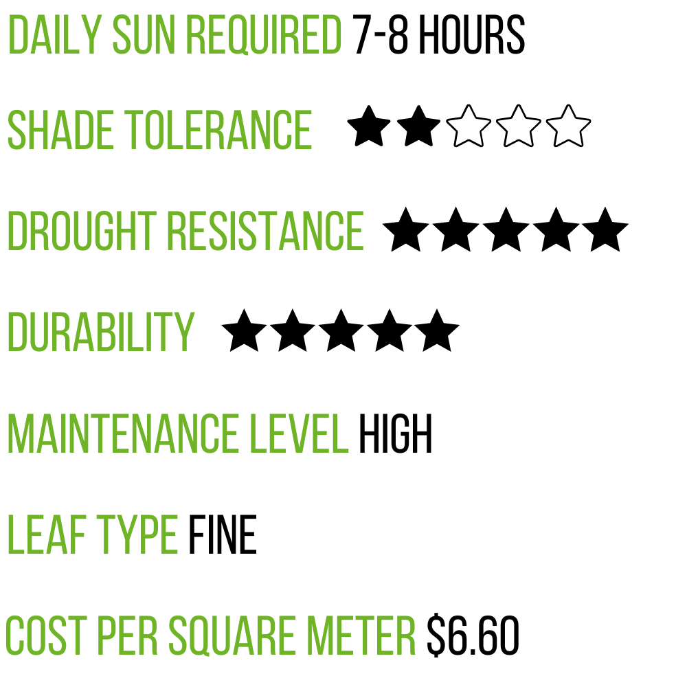 The Turf Shed | Farm fresh turf delivered to Brisbane, Ipswich & The ...