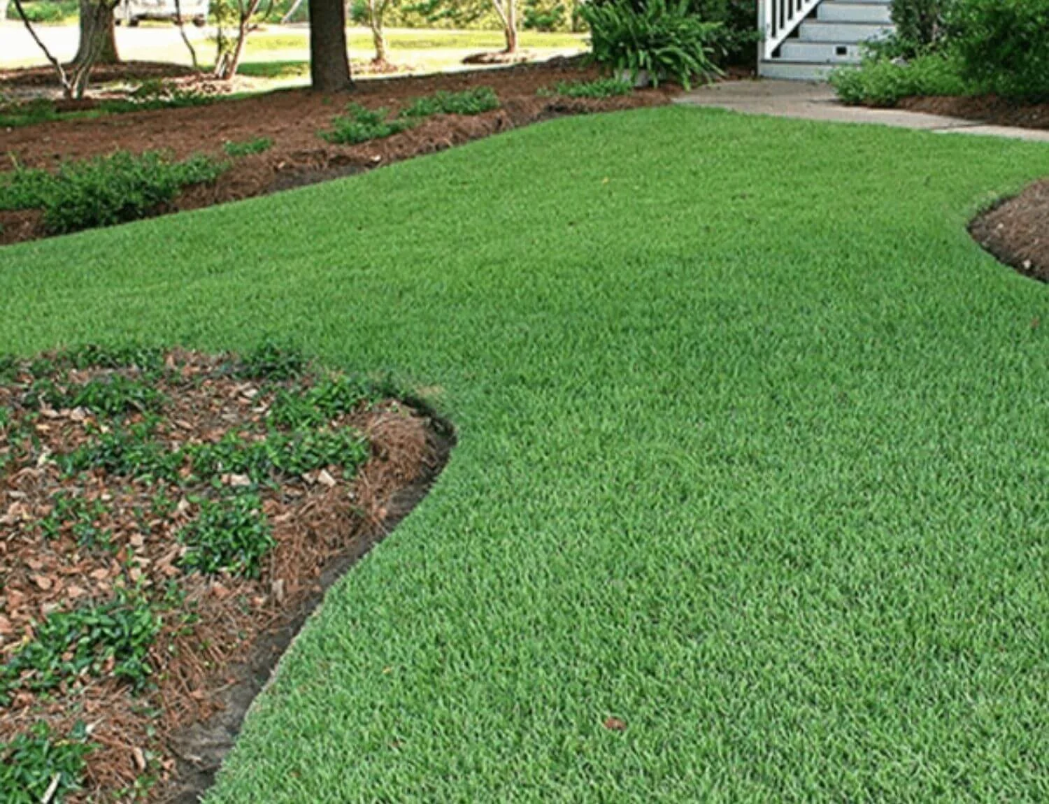 Farm Fresh Turf Delivered To Brisbane, Ipswich & The Gold Coast