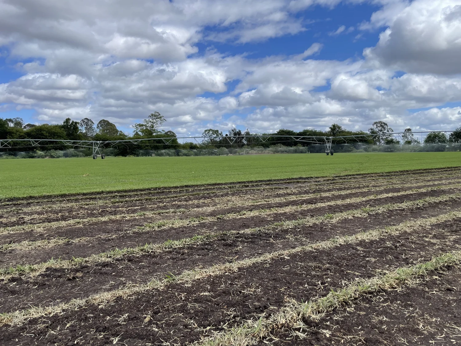 About Us | The Turf Shed — The Turf Shed