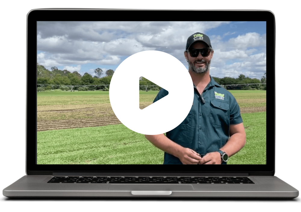 The Turf Shed | Farm fresh turf delivered to Brisbane, Ipswich & The ...