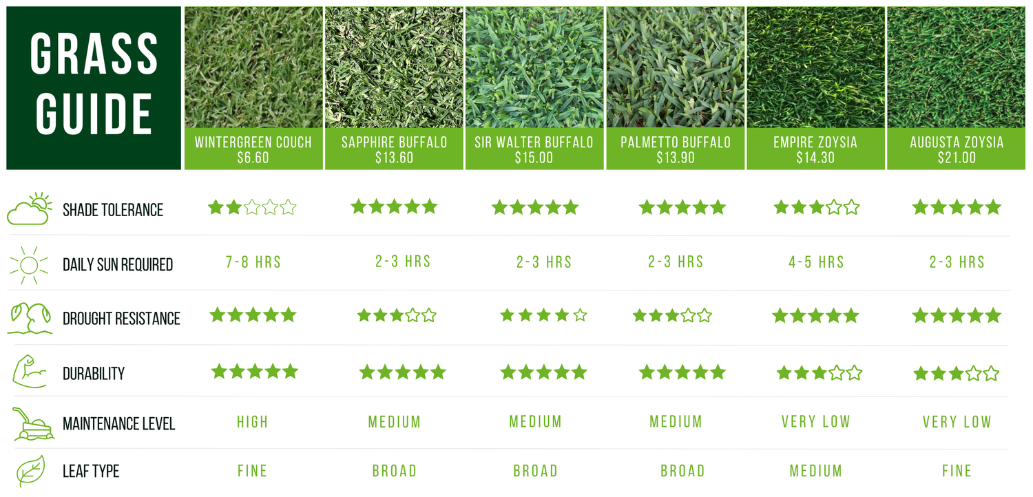 Choosing the Right Grass: 5 Key Tips for Perfect Home Lawns — The Turf Shed