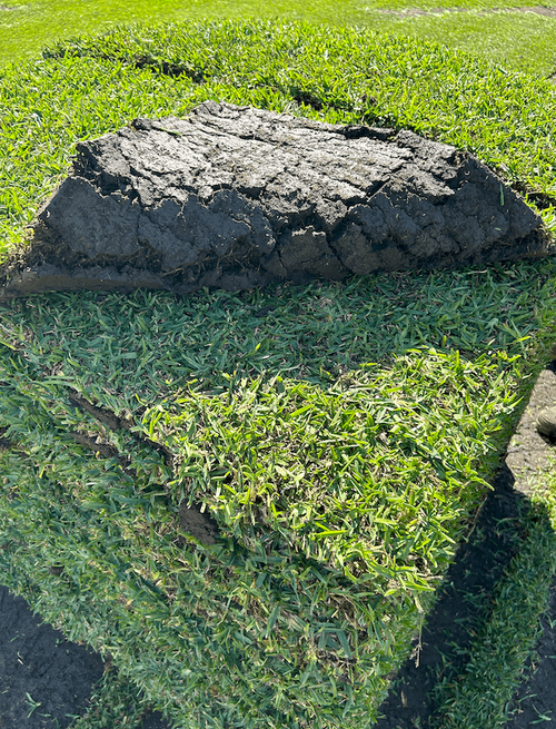 Farm Fresh Turf Delivered To Brisbane, Ipswich & The Gold Coast