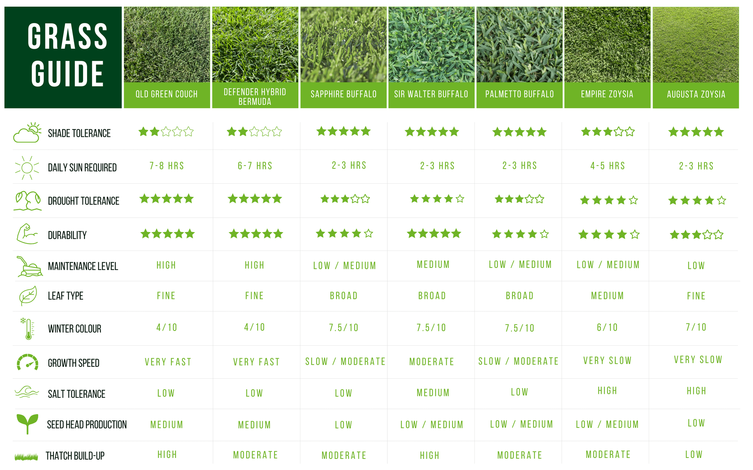 Grass Guide at The Turf Shed | Choosing the Right Grass — The Turf Shed