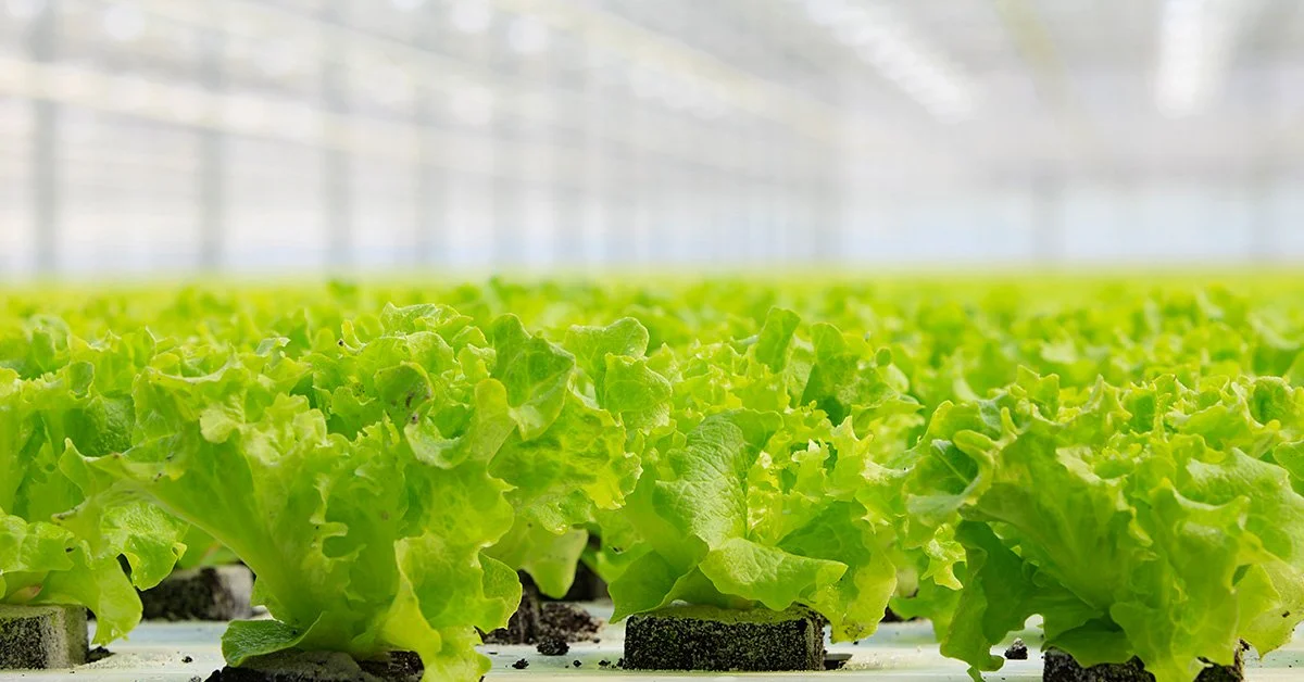 Campaigns & Initiatives — Queensland Fruit & Vegetable Growers