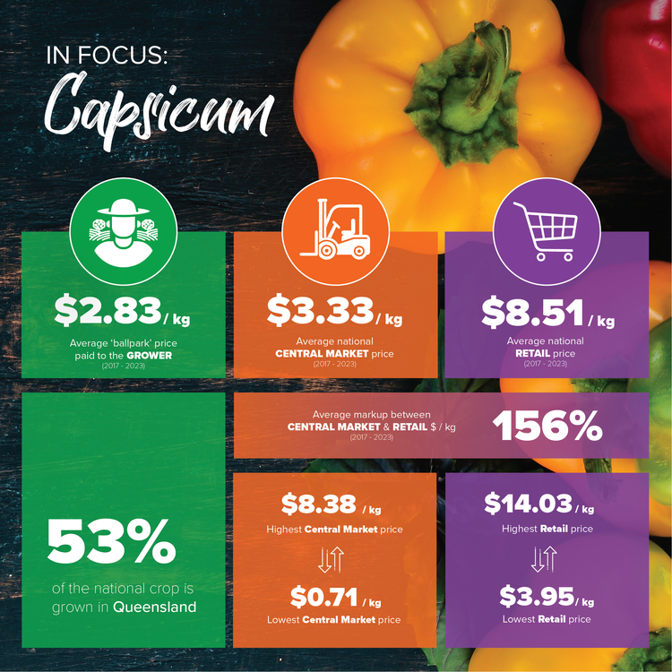 In Focus: Capsicum — Queensland Fruit & Vegetable Growers