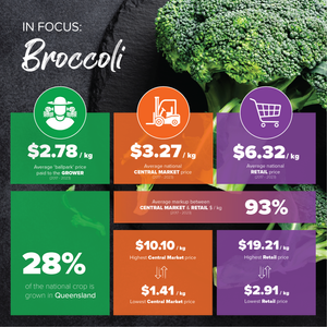 In Focus: Broccoli — Queensland Fruit & Vegetable Growers
