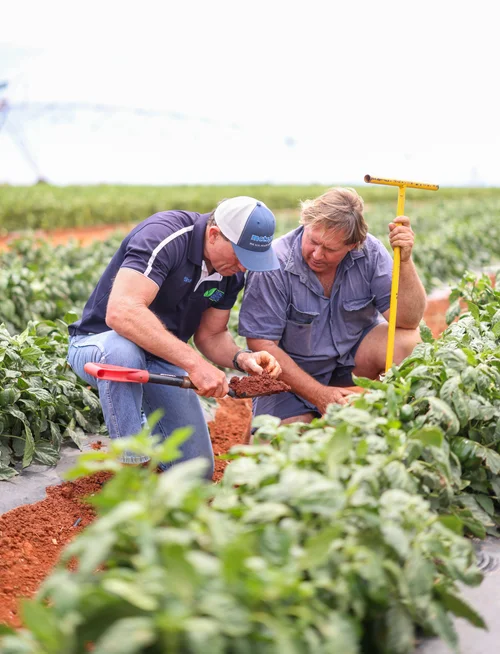 About — Queensland Fruit & Vegetable Growers