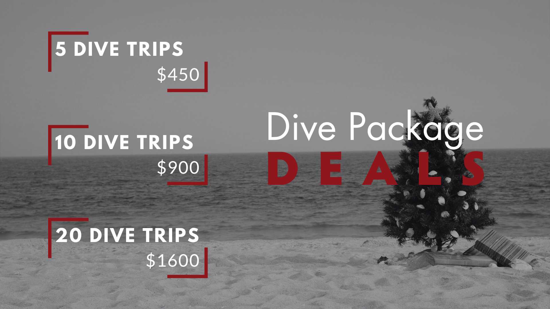 Holiday Dive Deals