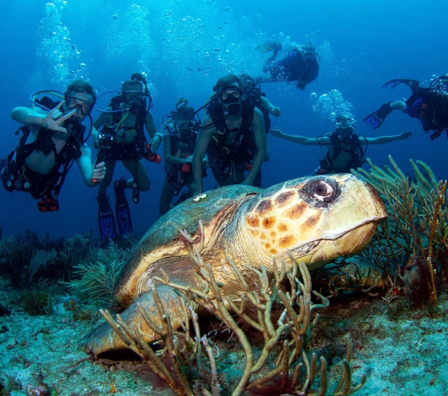 Scuba Diving Pricing in West Palm Beach, FL
