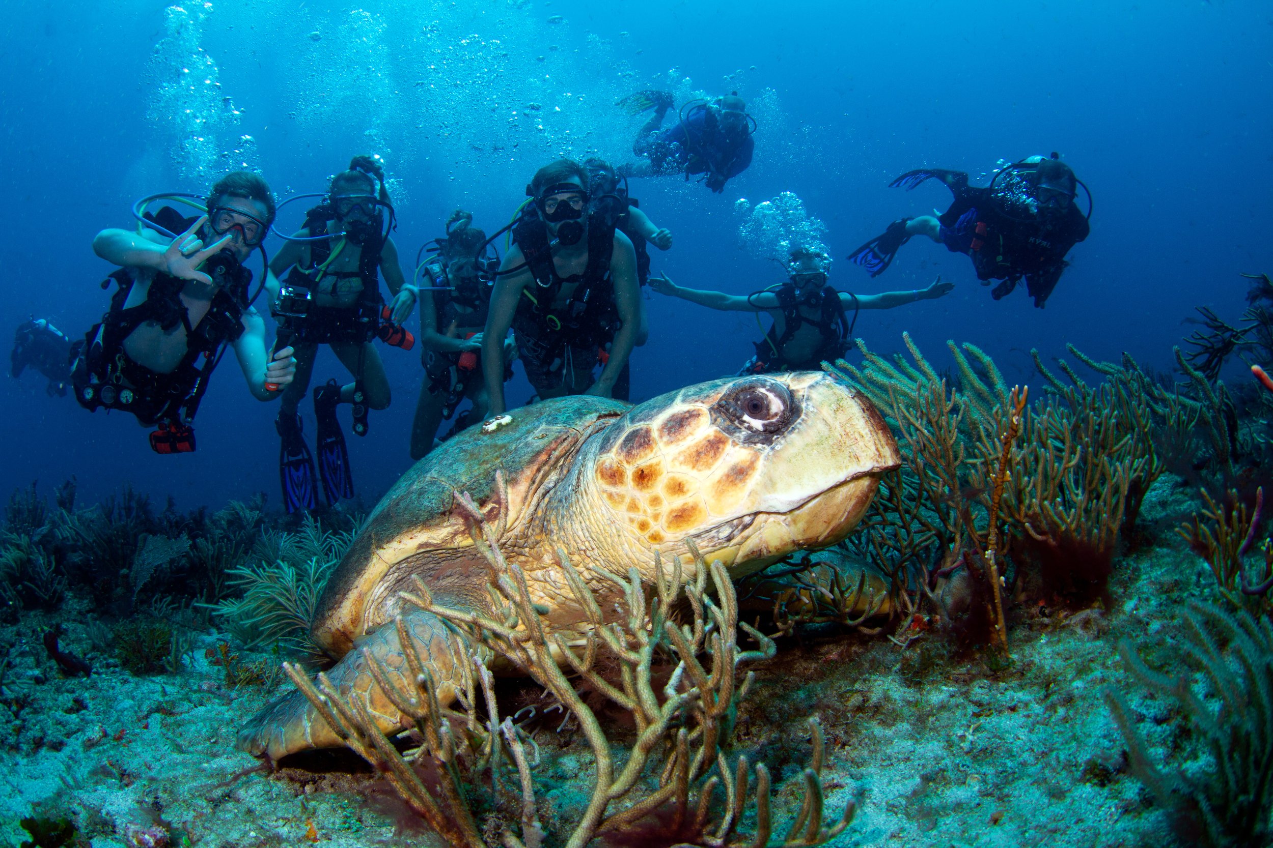 Nitrox Certification