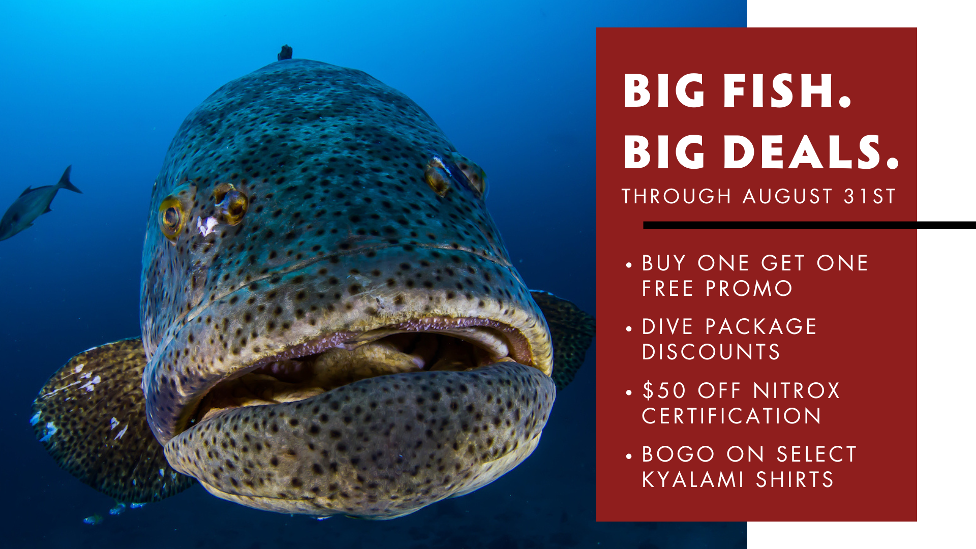 Goliath Deals