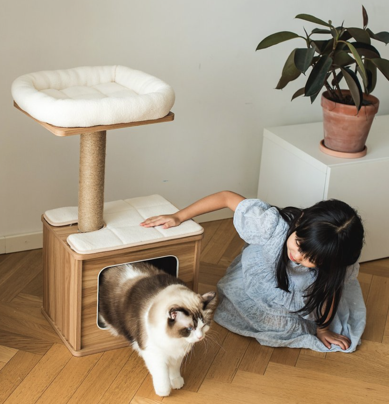 We Found the Most Aesthetic Cat Scratching Posts So You Don’t Have To ...