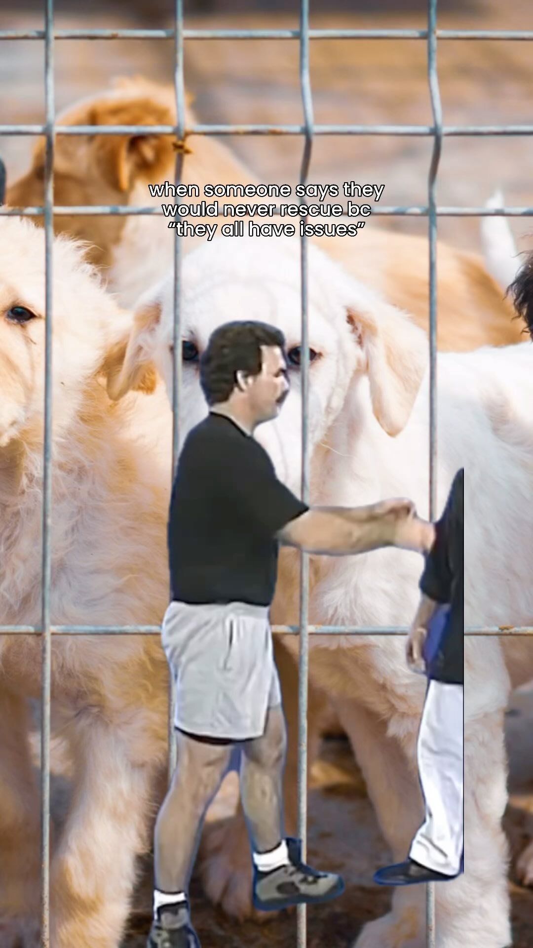 Fur Farming Bans and the Shifting Fashion Landscape — The Woof