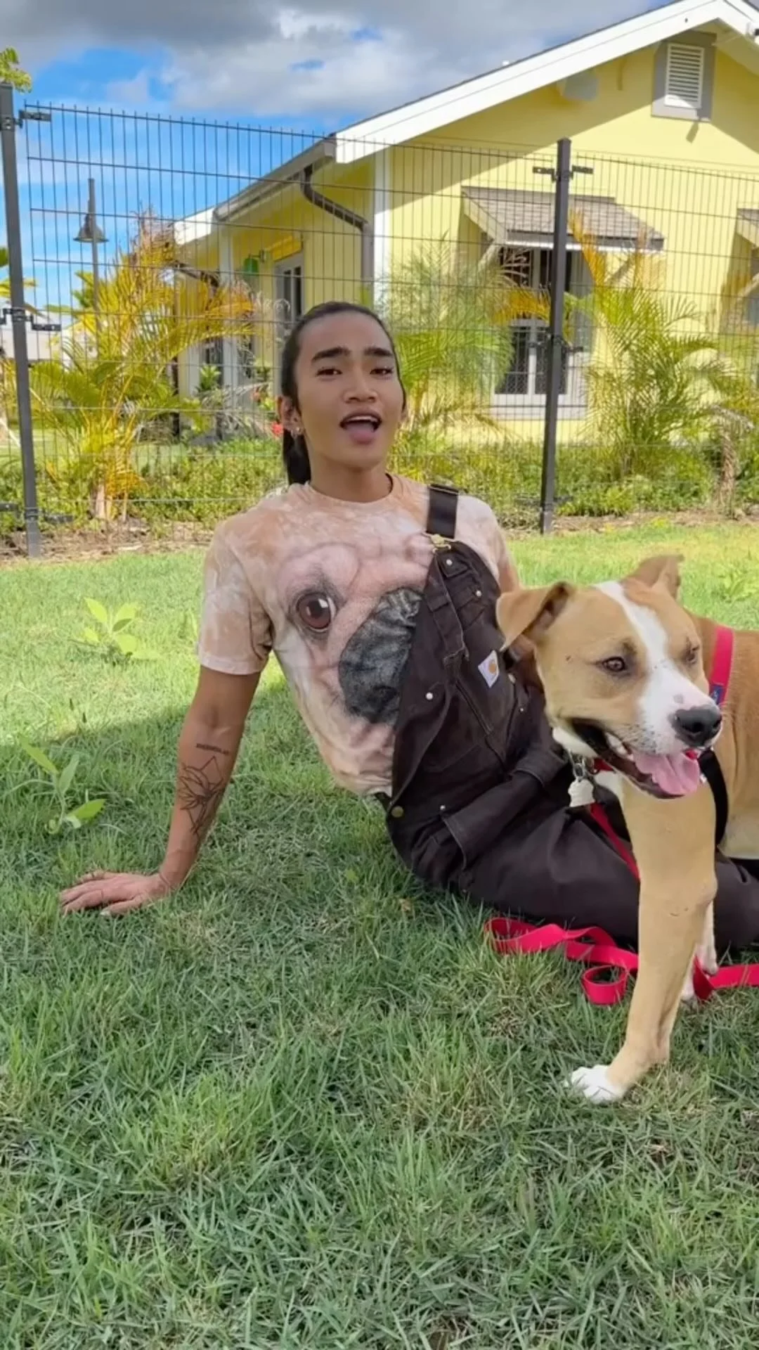 The Connection Between Animal Welfare and Human Well-Being — The Woof