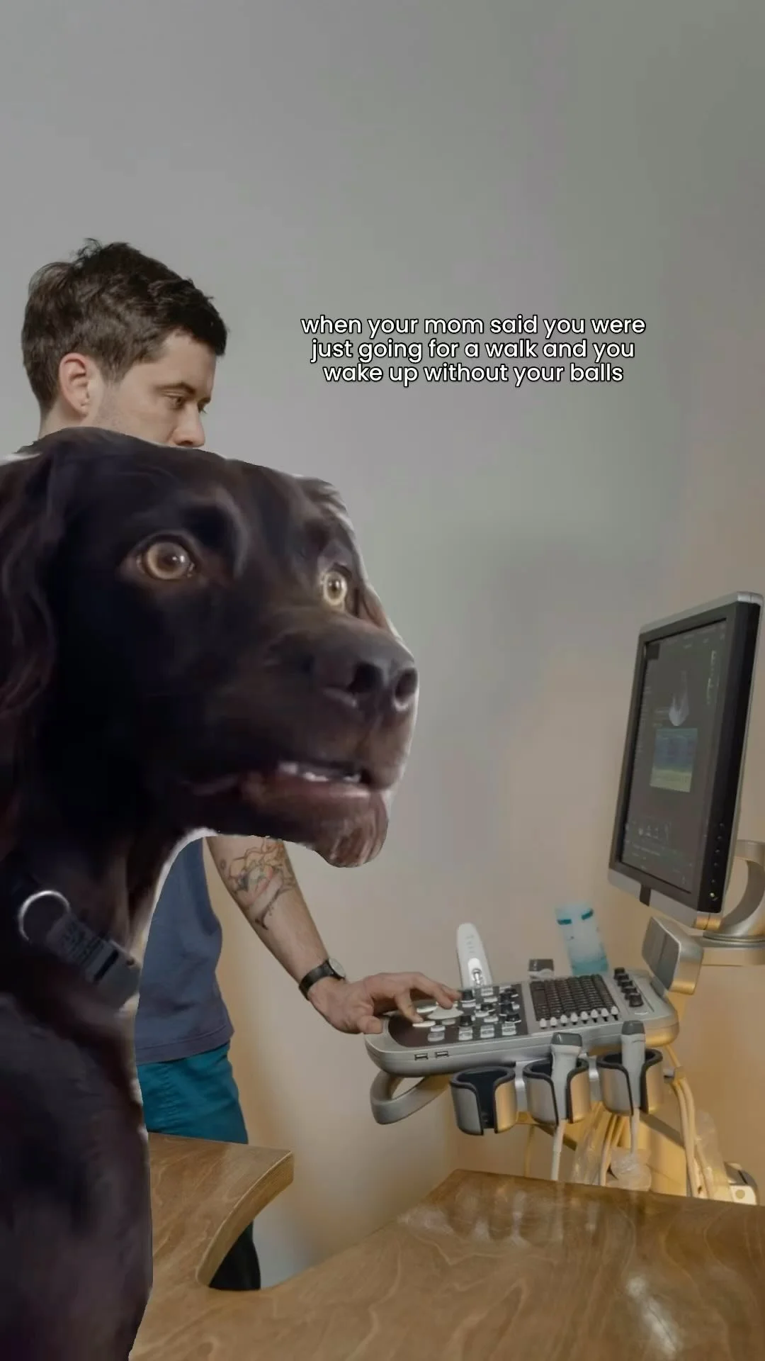 What is the Difference Between Animal Rights and Animal Welfare — The Woof