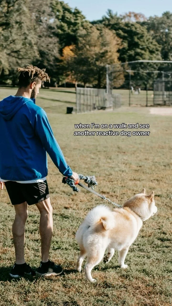 How ‘Hawk Tuah’ Haliey Welch is Using Her Platform to Advocate for ...