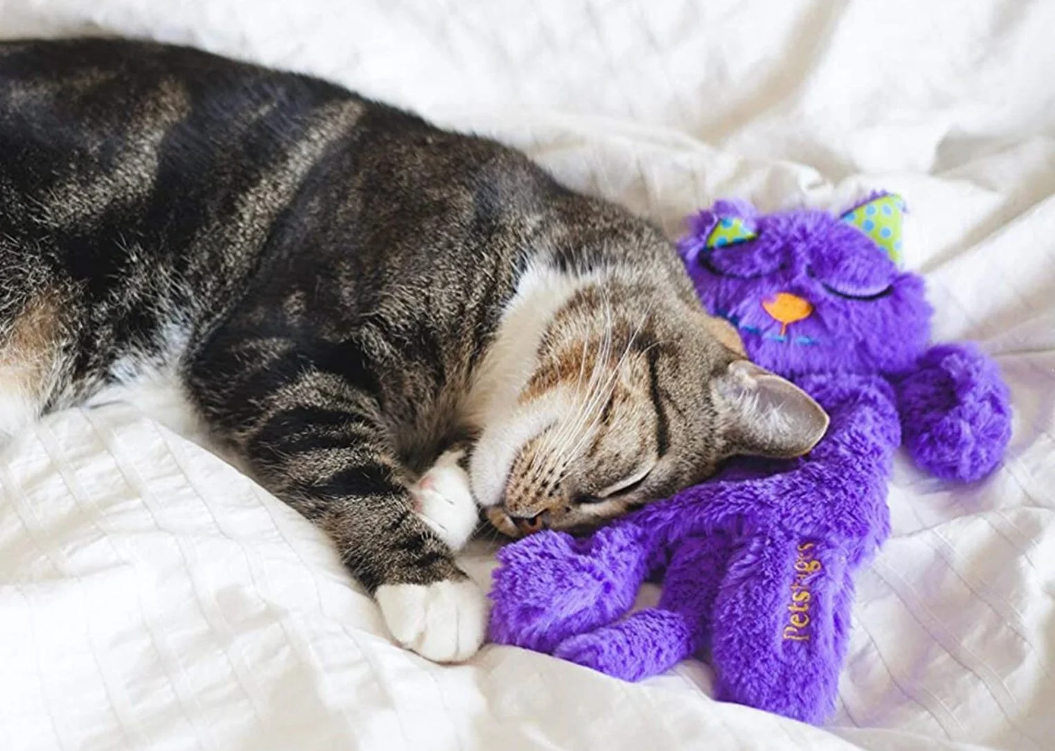 This Purring Cat Toy is the Ultimate Stress-Reliever for Anxious Cats ...