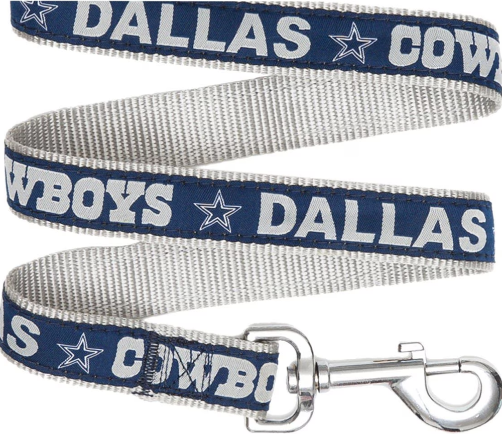 Best NFL-Inspired Pet Accessories to Celebrate Football Season — The Woof