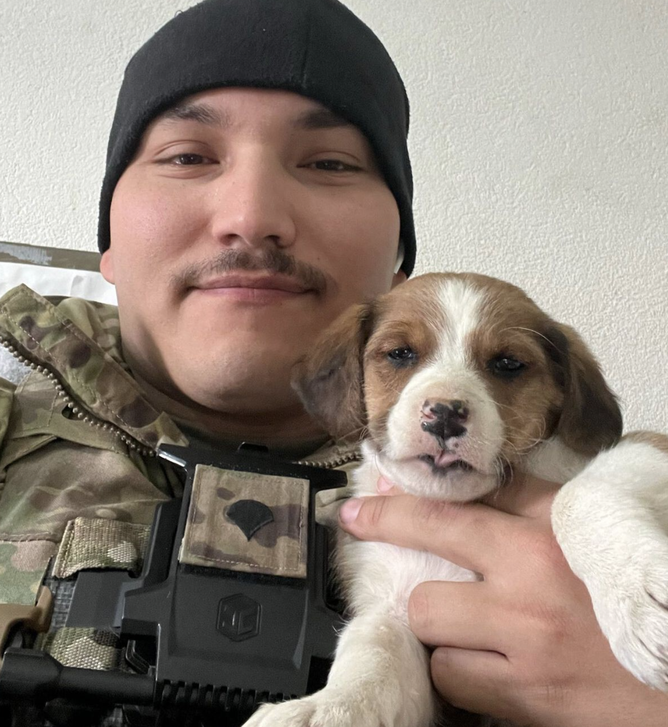 ‘Paws of War’ Looking to Reunite 23 Animals with Military Members in ...