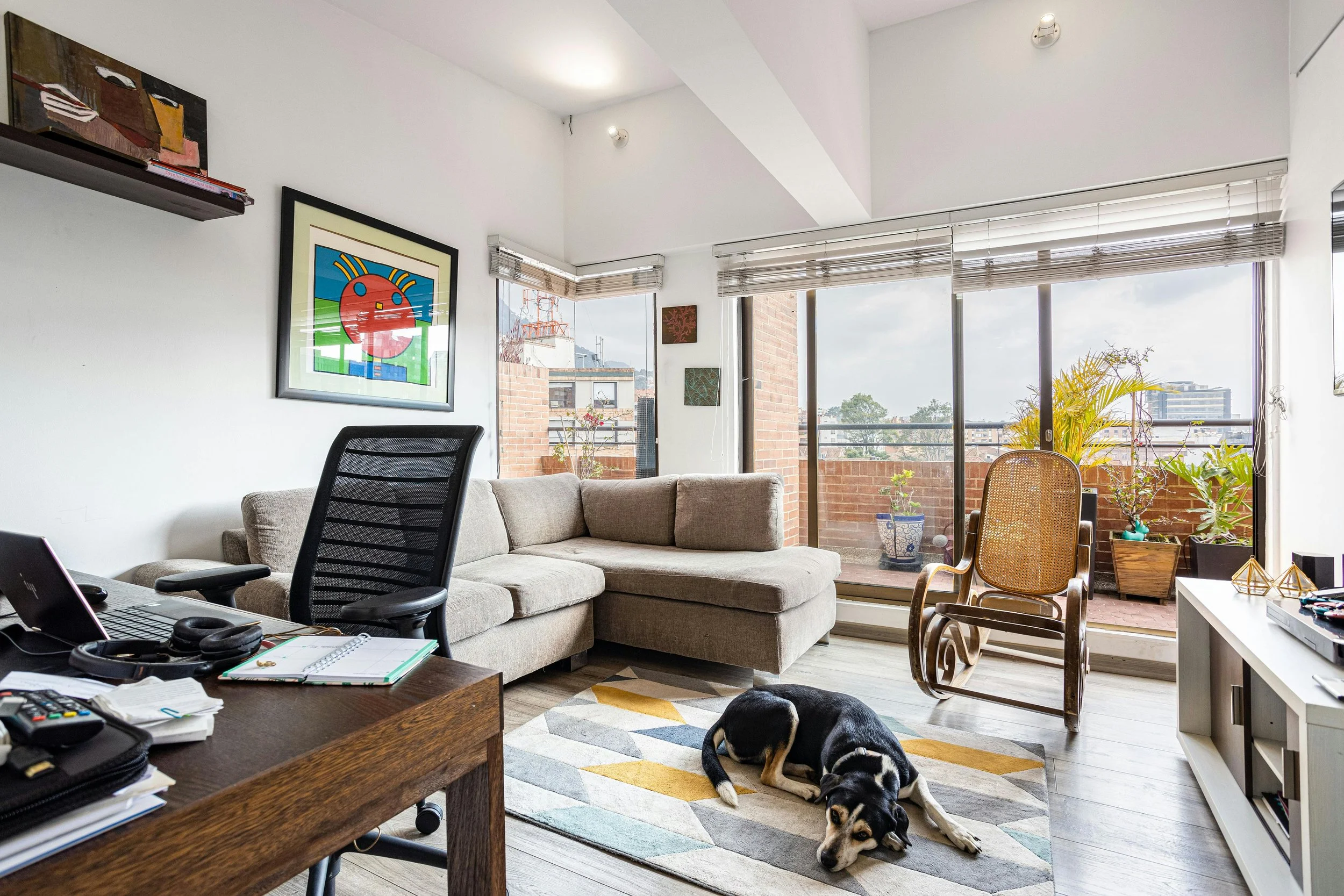 How to Transition Your Dog to Apartment Living: A Practical, Expert ...