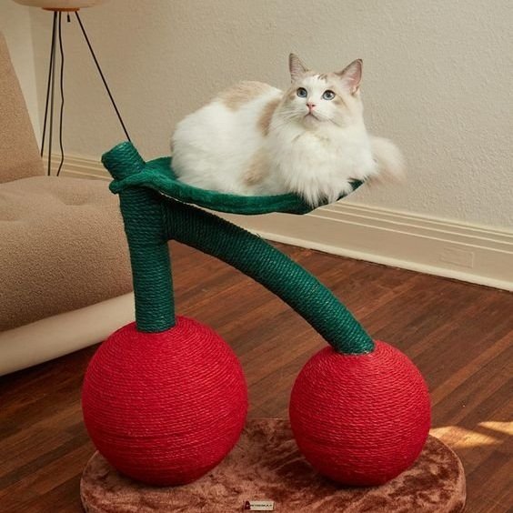 We Found the Most Aesthetic Cat Scratching Posts So You Don’t Have To ...