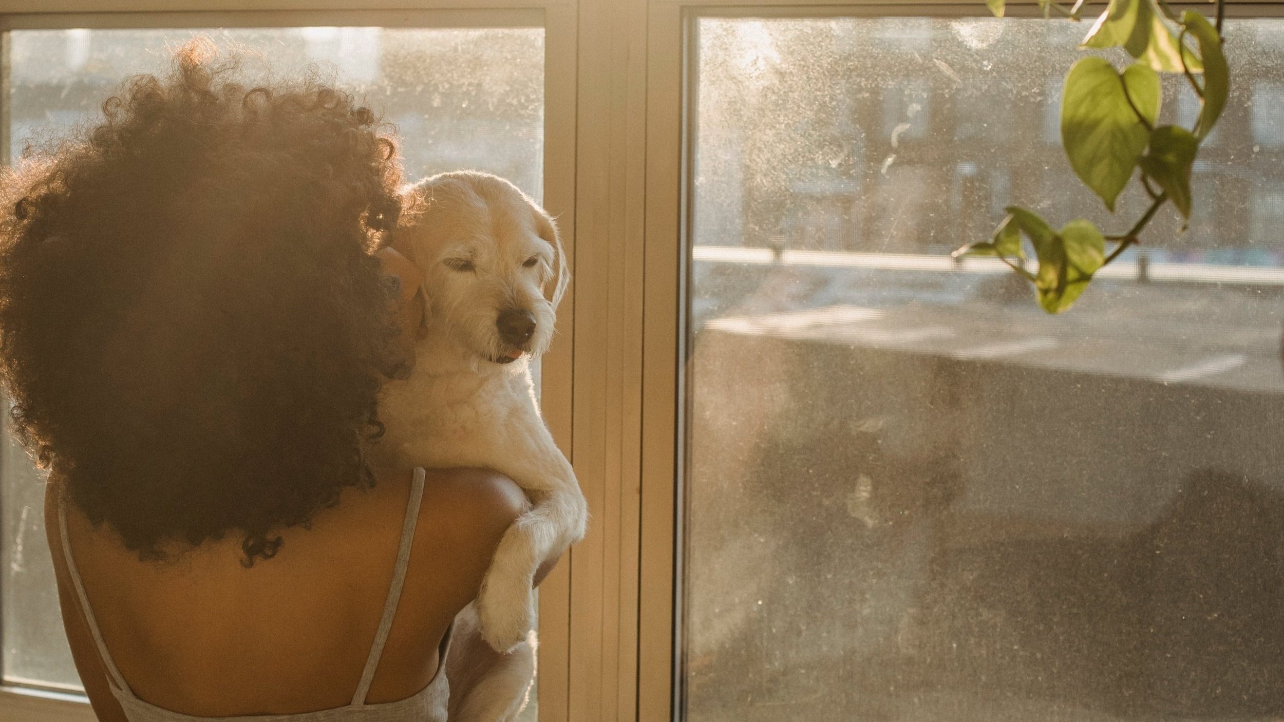 The Connection Between Animal Welfare and Human Well-Being — The Woof