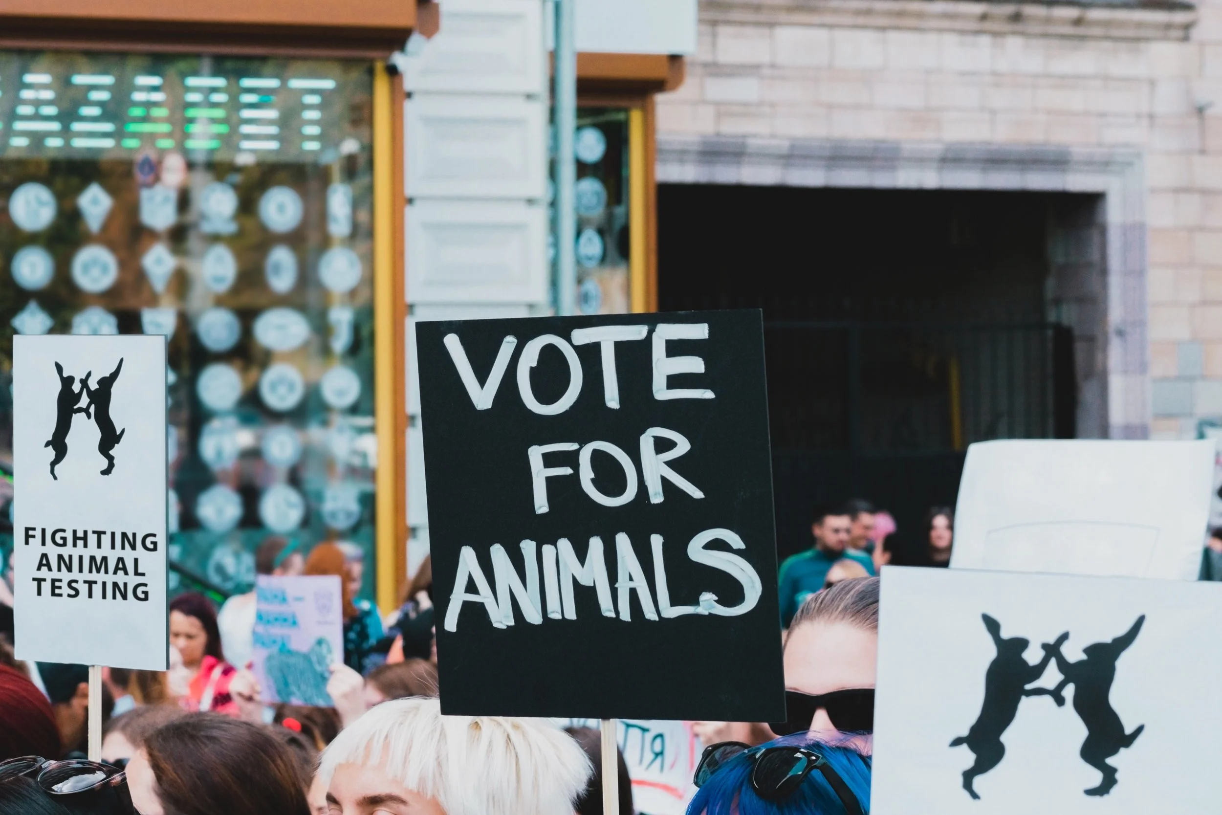What is the Difference Between Animal Rights and Animal Welfare — The Woof